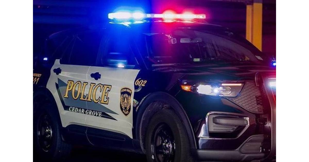 Cedar Grove Police Chase Down CVS Shoplifting Suspect | Verona/Cedar ...