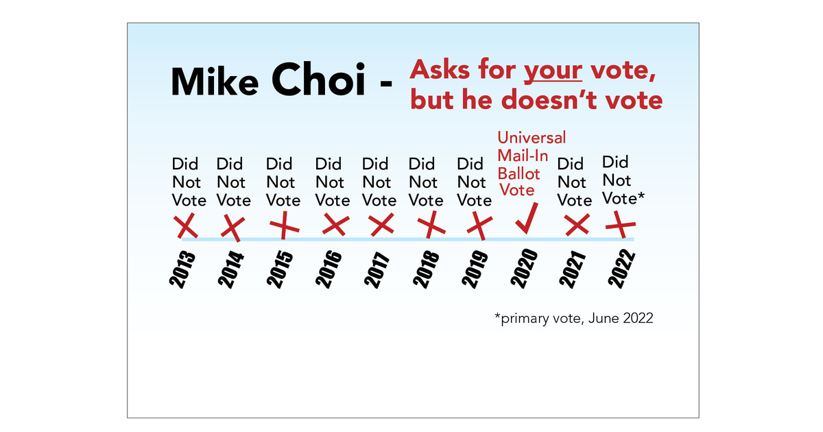 Voting Is Important - Just Not To Mike Choi: Rubino & Flynn For ...