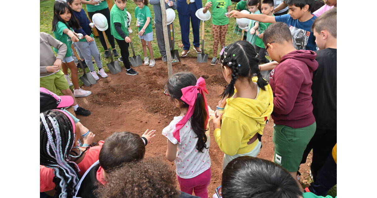 Hackensack Red Oak Is Rooted in Legacy | Hackensack, NJ News TAPinto ...