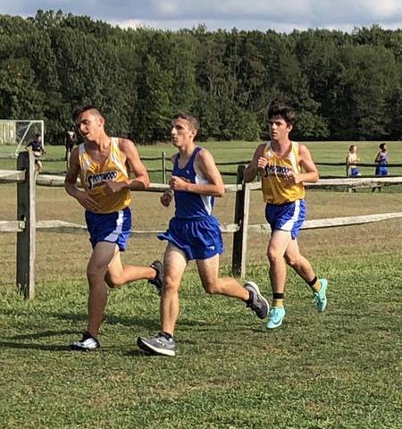 Spotswood Cross Country Is Off And Running | News TAPinto