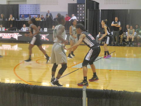 PCCC Lady Panthers End Season with 21-7 Record, Region XIX Championship ...