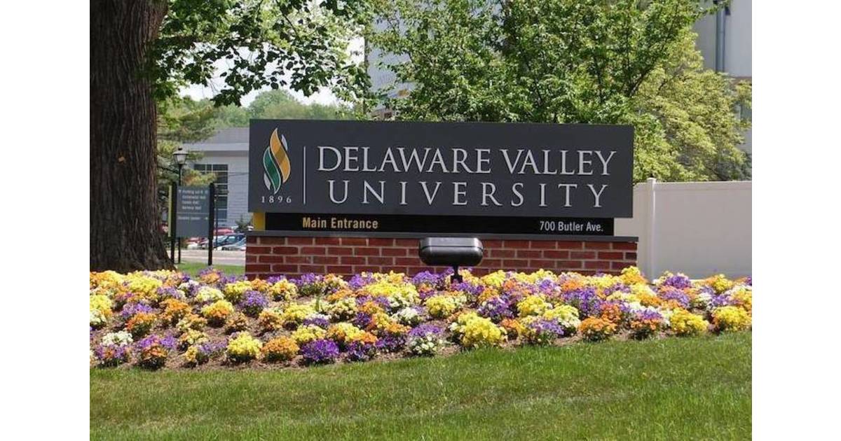 Doylestown Library Celebrating 100th Anniversary with a Big Grant to ...