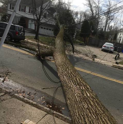 Here is What to do if You Encounter Downed Wires | Westfield, NJ News ...
