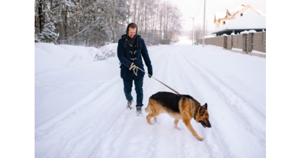 Why You Should Use De-icing Salt Sparingly | Berkeley Heights, NJ News ...