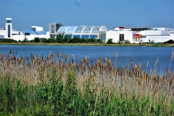 Meadowlands Convention Center Would Draw Crowds, Revenues and Jobs ...