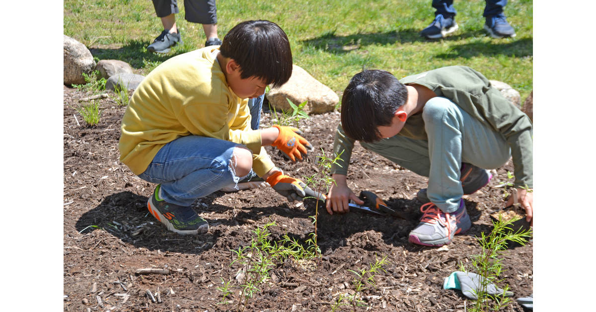 Hawes Elementary School Explores Impact on Ridgewood Ecosystem ...