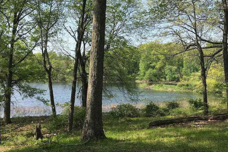 Roxbury, NJ Local News | TAPinto