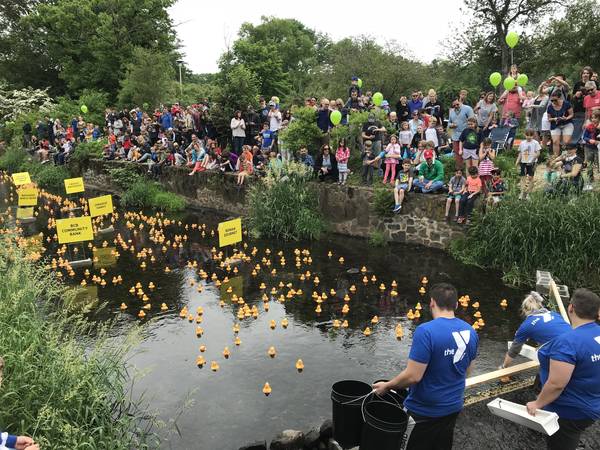 Duck Race Moves to September | SOMA, NJ News TAPinto