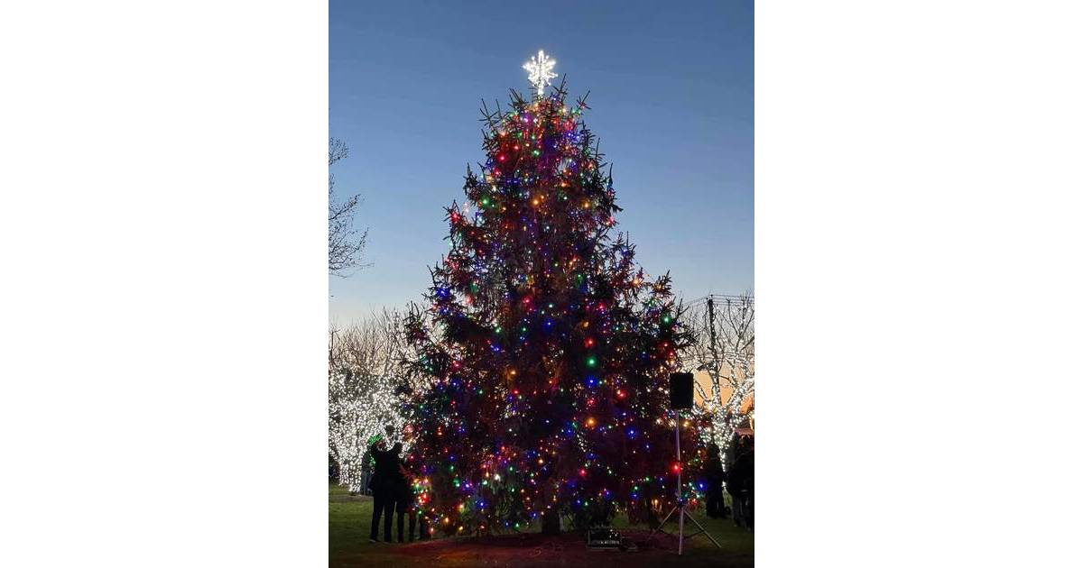 Woodland Park's Annual Tree Lighting Ceremony Sparkles in Festive ...