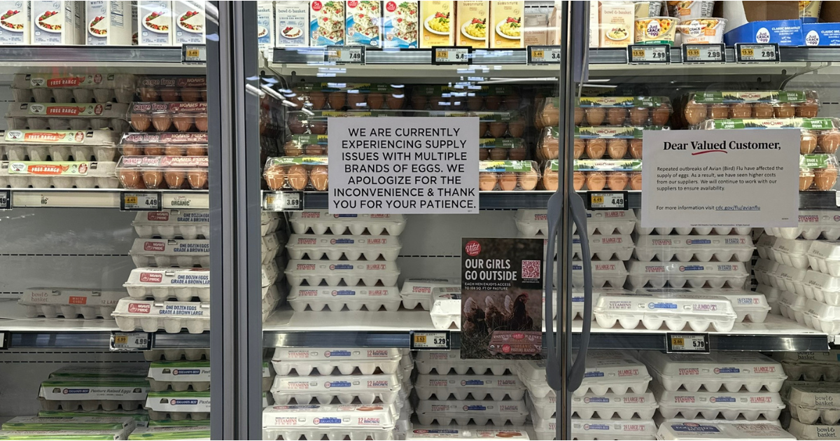 Shell-Shocked: Egg Prices Crack Records in Local Phillipsburg, Easton ...