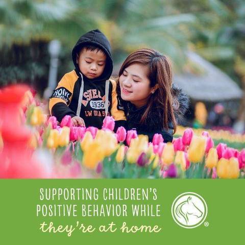 Supporting Children's Positive Behavior While They Are at Home ...