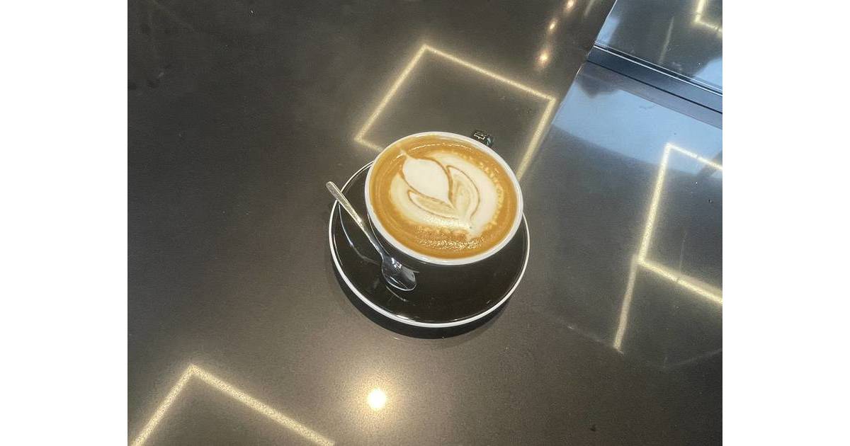 Mokafe Coffee House Opens Doors in Paterson | Paterson, NJ News TAPinto