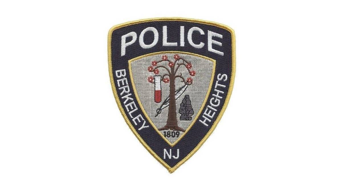 Berkeley Heights Police Chief Steps Down; Mayor Appoints William Ives ...