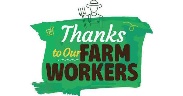 Governor declares Farmworker Awareness Week | NYVT Media, NY News ...