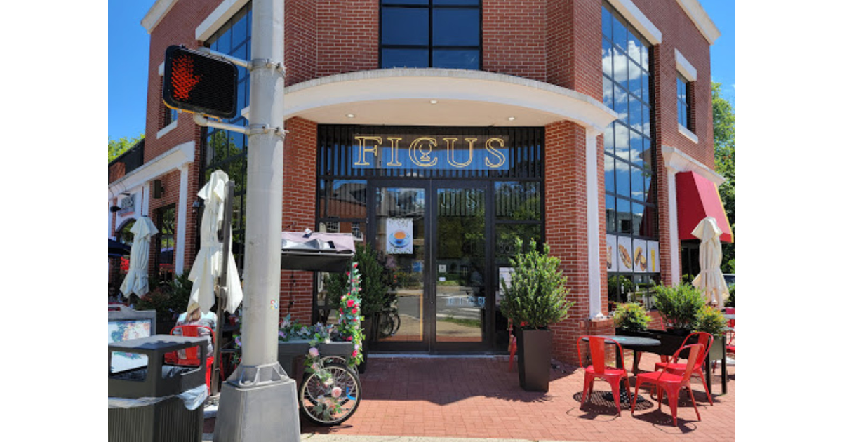 Time to Lighten Up the Holiday Diet? Try this Princeton Perk: FICUS ...