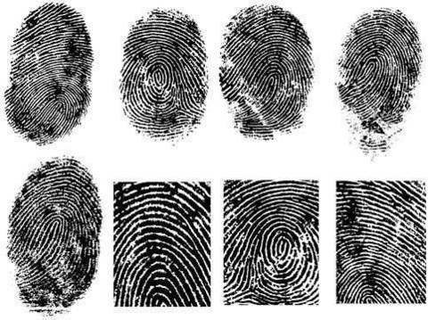 Fingerprinting available for eligible students in grades PreK - 8 | New ...