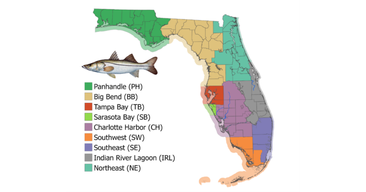 Melbourne Area Included in June 1 Snook Harvest Closure | Melbourne ...