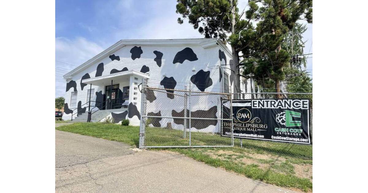 Cracking the Case: Pburg’s “Cow Building” Set for Egg-cellent ...