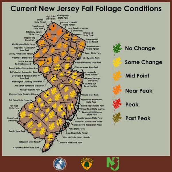 NJ's Urban and Rural Forests Are Putting on their Annual Show | Nutley ...