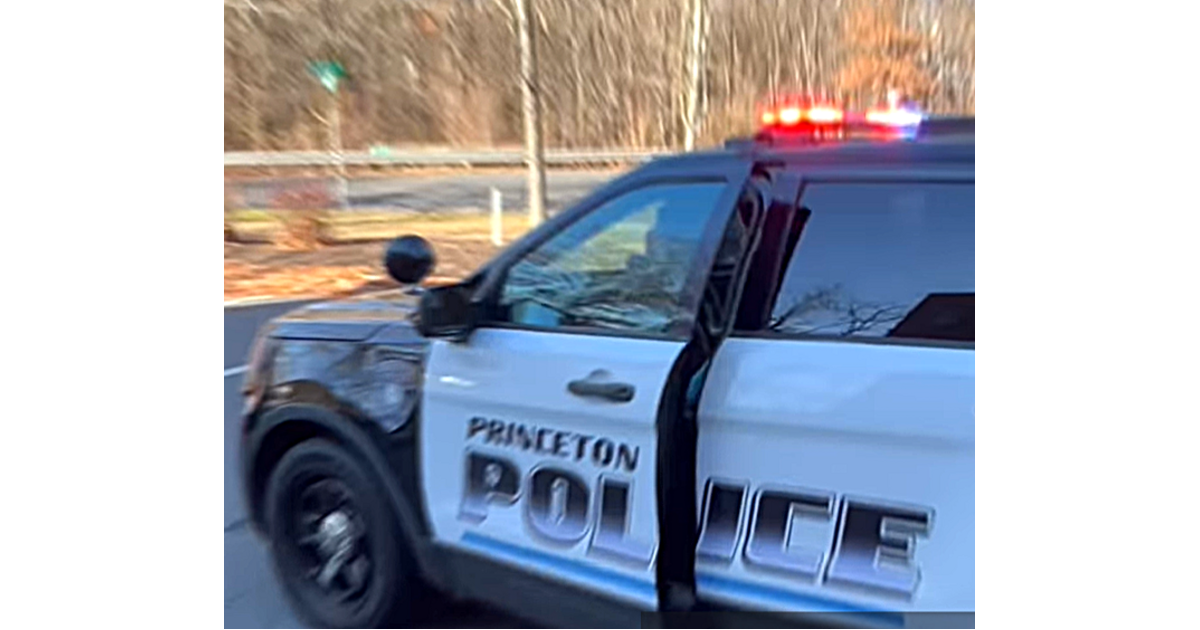 Princeton Police Blotter: Car Theft Foiled on Hunt Drive; Stolen Car ...