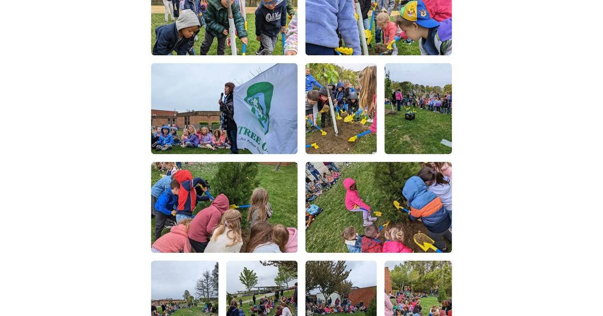 Barnegat Lillian Dunfee School Students Celebrate Arbor Day | Barnegat ...