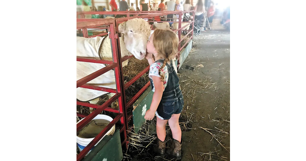 Grange Fair Opens This Week With a Focus on All Things Agricultural ...