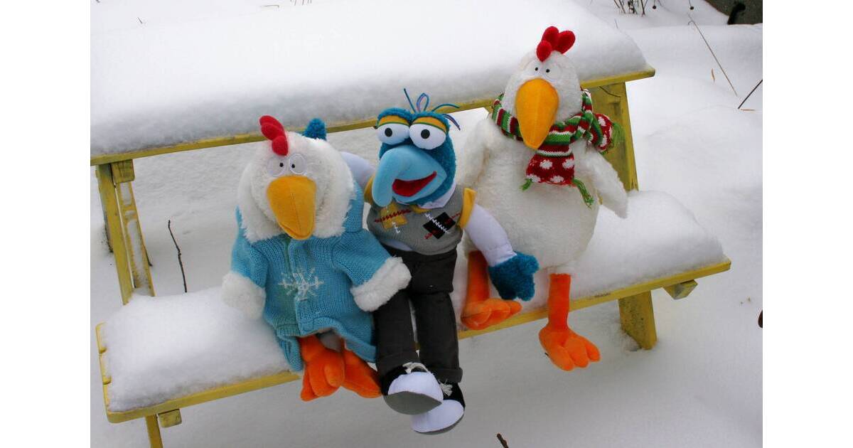 Freezing Nightime Temperatures and Possible Snow in Nutley's Forecast ...