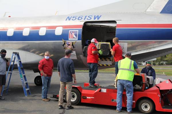 130 Rescue Dogs and Cats Safely Arrive at Morristown Airport; Escape ...