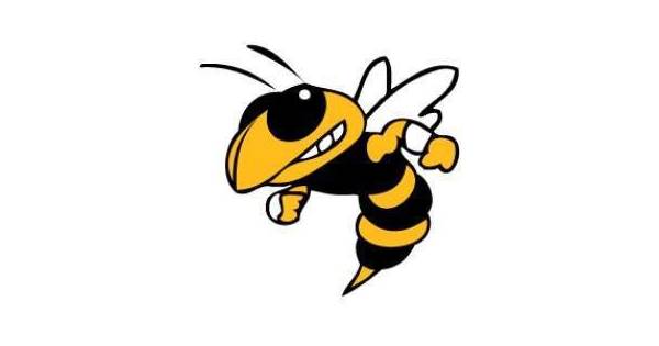 Hanover Park H.S. Football Players Get All-Conference Honors | East ...