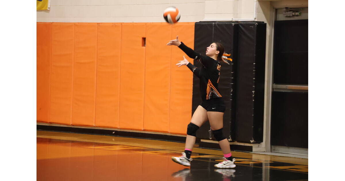 HS Volleyball: Hasbrouck Heights, Wood-Ridge Place Two on All Division ...
