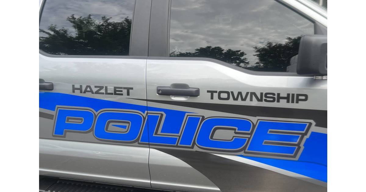 Hazlet Police Quickly Respond to Package Theft on Beers Street, suspect ...