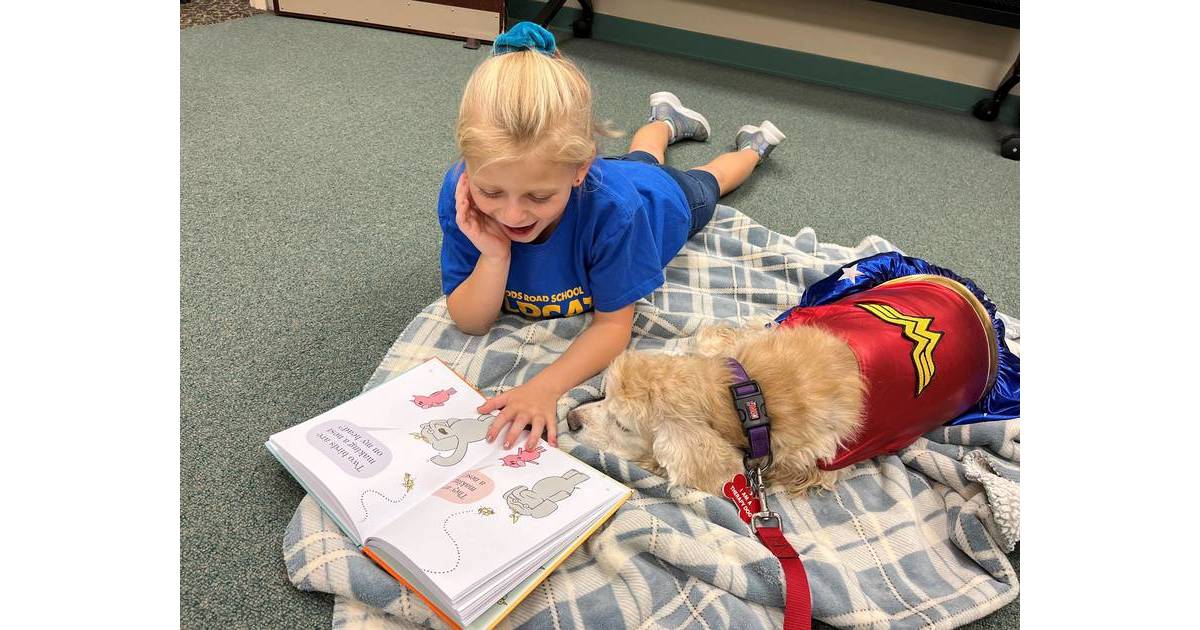 Hillsborough Library: Reading a Book Aloud to a Dog Can be Therapeutic ...