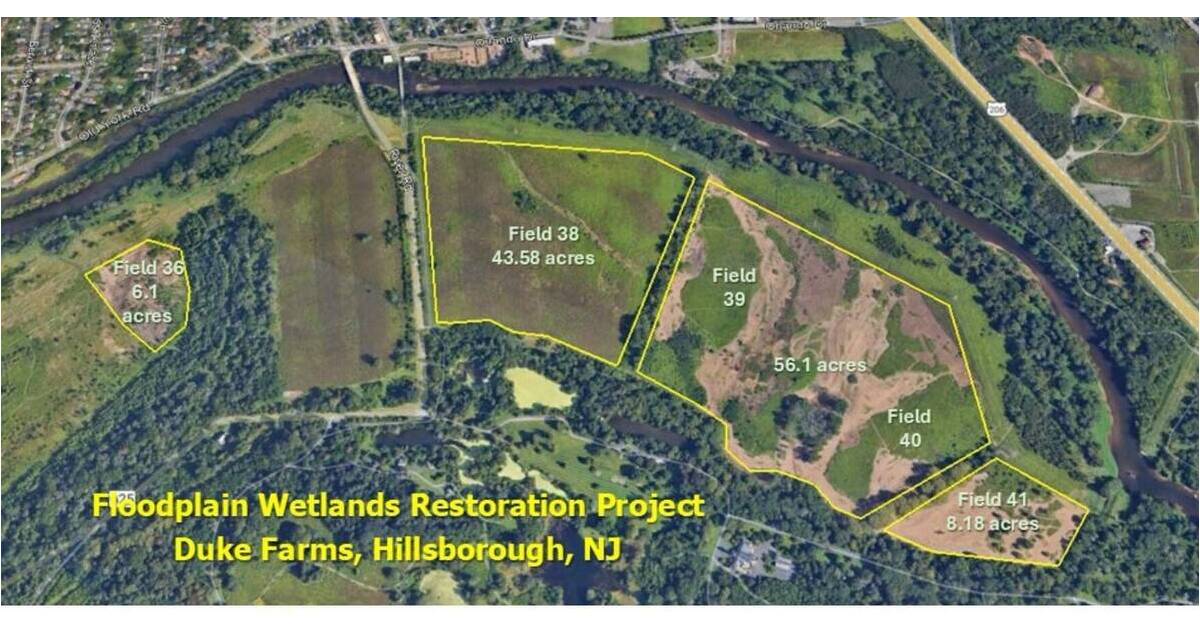 Duke Farms Undertakes Long-Term Reforestation of 112 Fallow Acres in ...