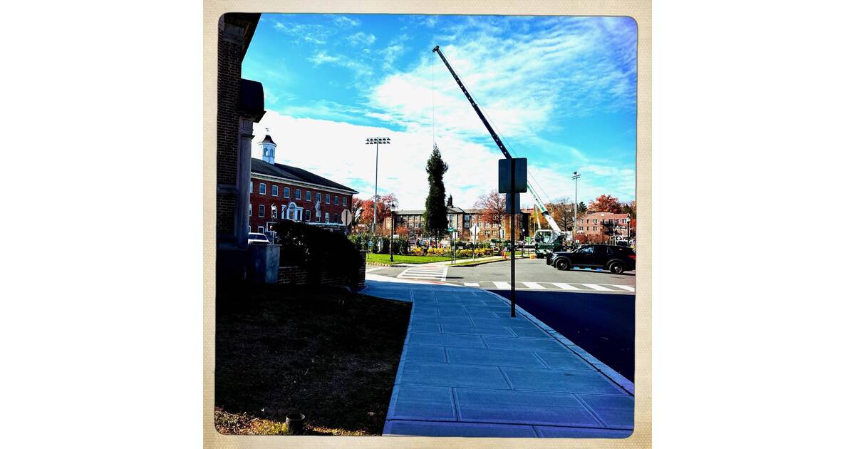 Nutley's Tree Installed at Municipal Plaza Ahead of Santa's Arrival and ...