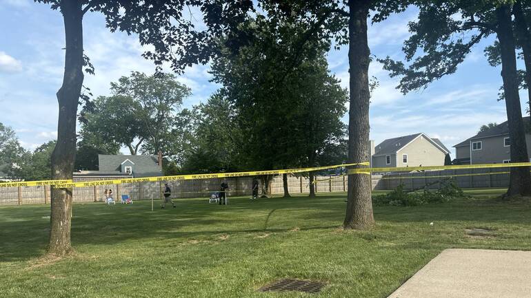 Teen Injured by Falling Tree Branch at Westfield Pool Opening Day ...
