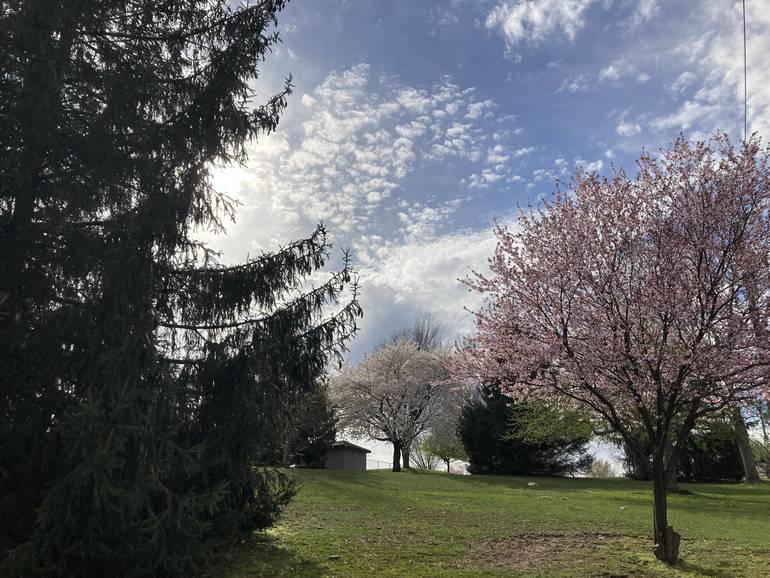 Nutley, NJ Local News | TAPinto