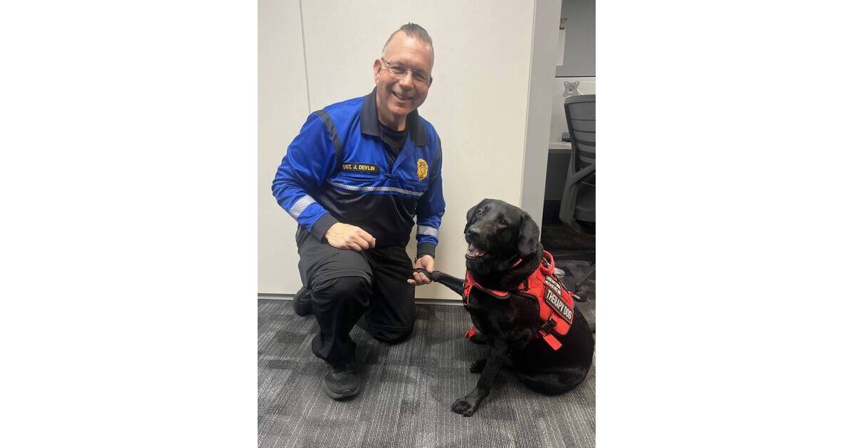 Meet Georgiann: Union Police Department’s Newest Member | Union, NJ ...