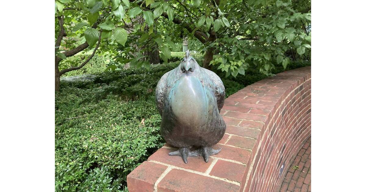 There's Still Time to Join the Impressive List of Nutley Family Service ...