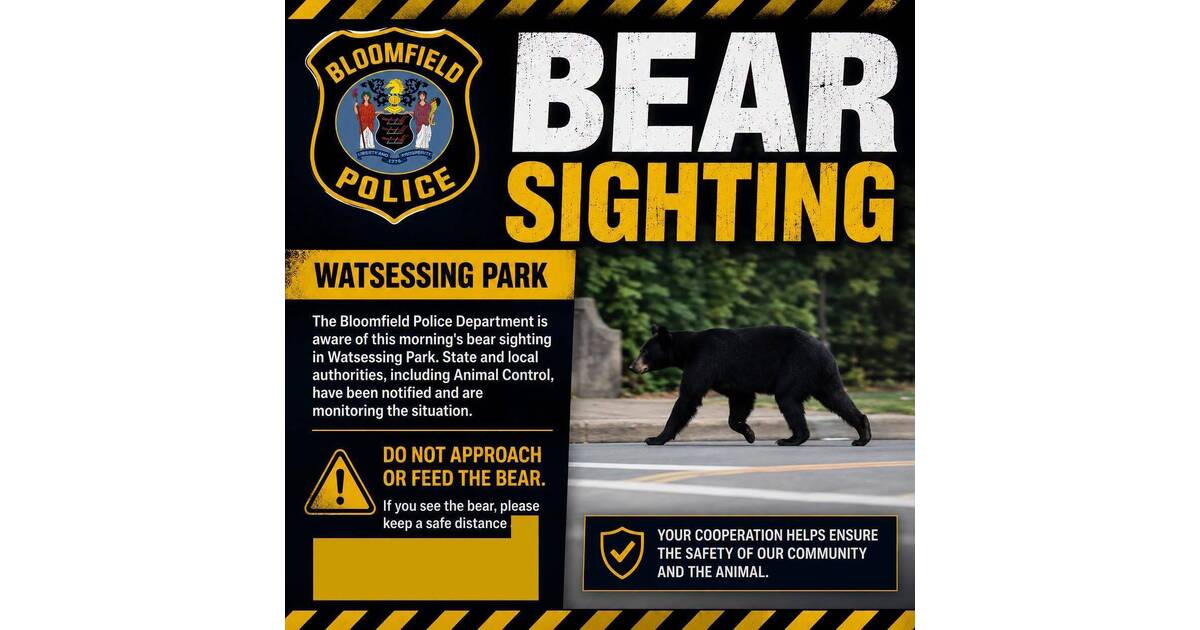 Bear Spotted in Watsessing Park, Bloomfield Police Warn | Bloomfield ...