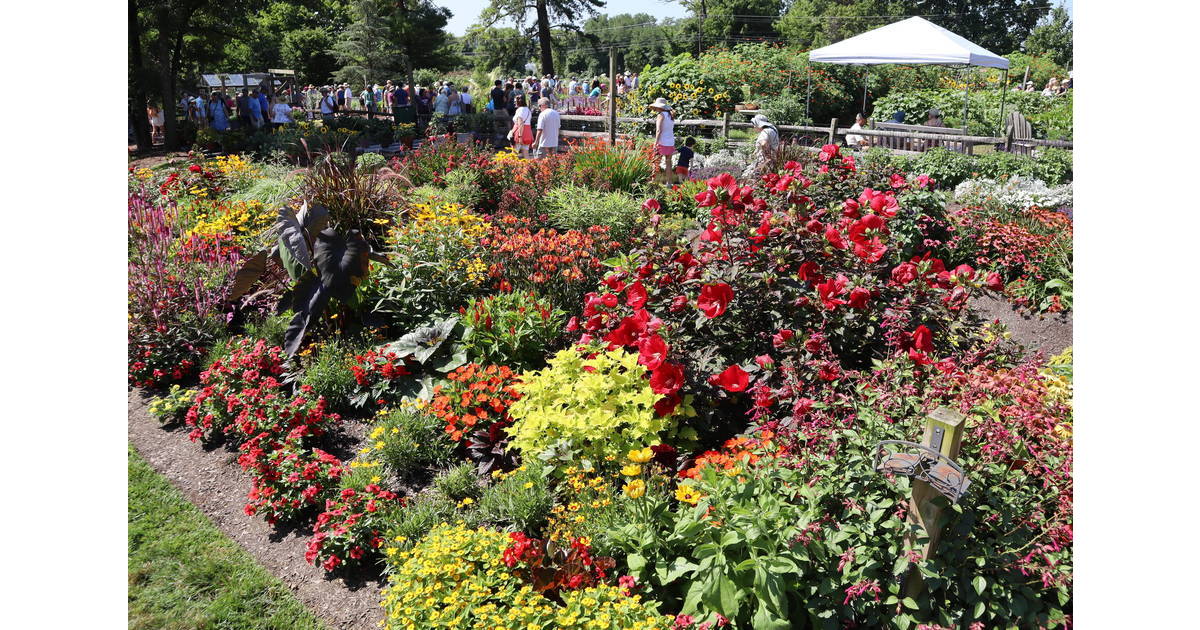 Burpee Opens the Doors to Its Doylestown Farm: A Behind-the-Scenes Look ...