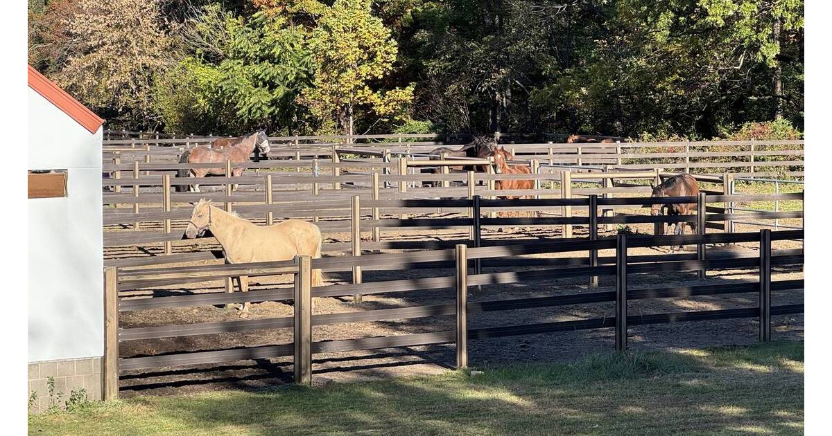 Adaptive Horseback Riding Ring in the Works at Watchung Stable ...