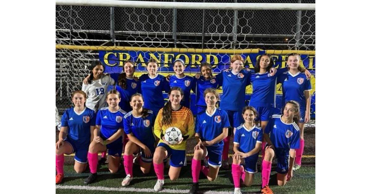 Springfield Bulldogs Youth Girls Soccer Team Head to the Championship ...