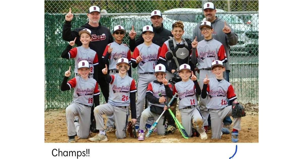 Showing Steady Improvement, the Bloomfield 11U Tigers Win a Baseball ...