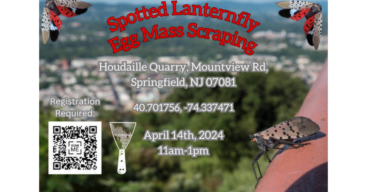 Scrape Lantern Fly Eggs at Houdaille Quarry | Springfield, NJ News ...