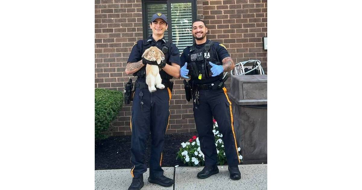 Nutley Police Hop To The Rescue | Nutley, NJ News TAPinto | TAPinto
