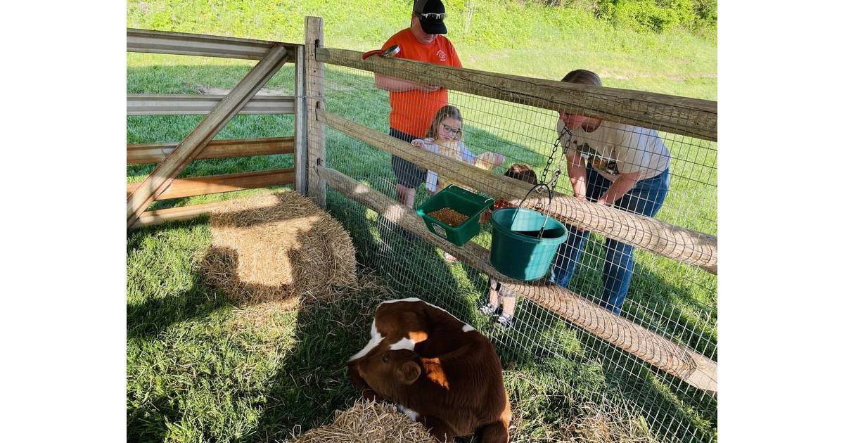Phillipsburg Barnyard Days and Pig Roast leaves you in a great Mooooood ...