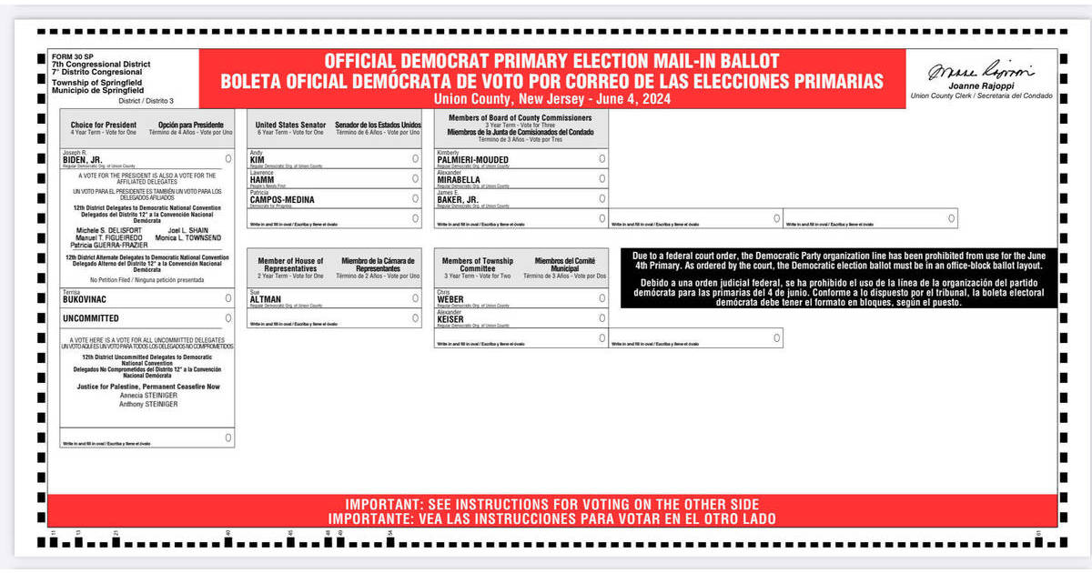 Vote-By-Mail Ballots En Route to Union County Voters: What to Know ...