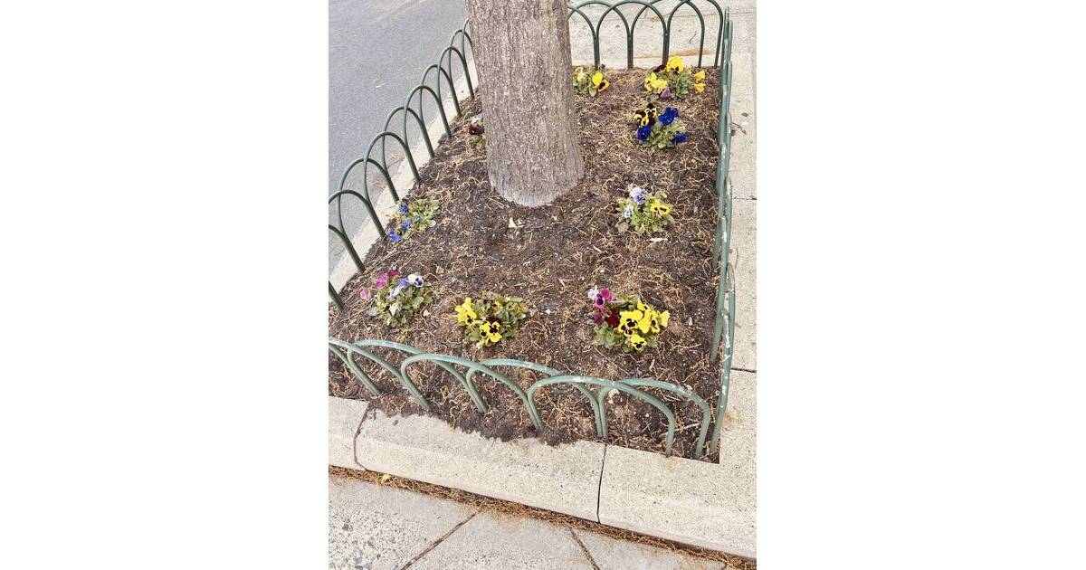 Let's keep building a downtown we can all be proud of! | Summit, NJ ...