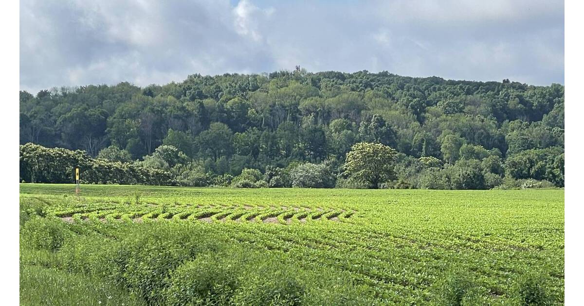 Sussex County Voters Strongly Back Farmland, Open Space Trust Fund ...