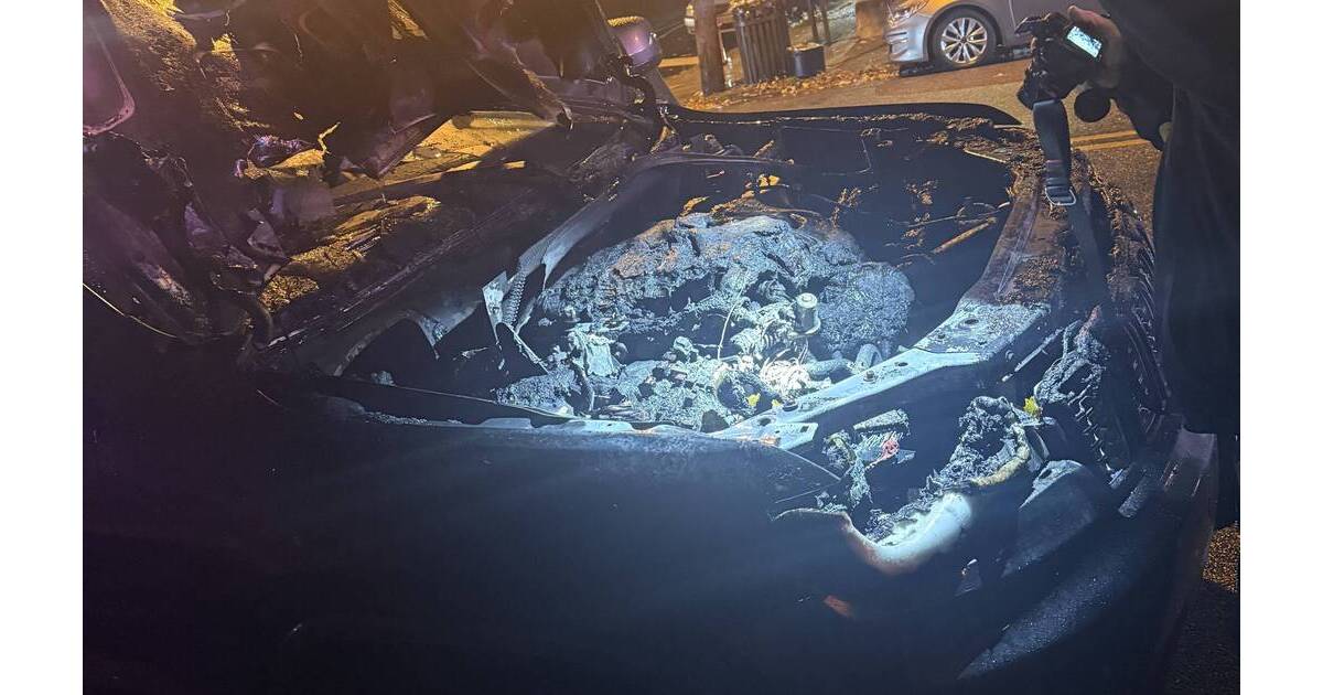 A Reason to Give Thanks: Paterson Business Owner Escapes Injury After ...